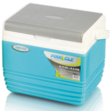 PINNACLE travel ice box, for Thermal, Feature : Eco-Friendly at Best ...