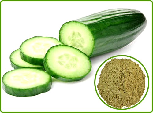 Cucumber Extract by Plantae Extracts Pvt. ltd. from Ghaziabad Uttar ...