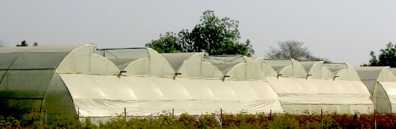 Naturally Ventilated PolyHouse- NVPH, Color : Transparent at Rs 500 ...