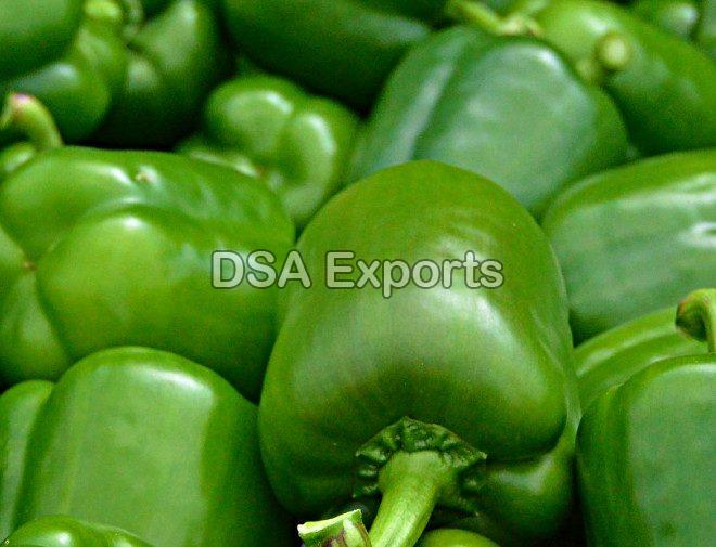 Fresh Capsicum, for Cooking at Rs 3,200 / Quintal in Pune | DSA Exports