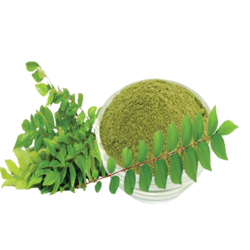 Senna Leaf Powder, for Personal Use, Purity : 99% - Kanha Herbals ...