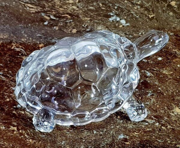 Crystal Turtle at Rs 271.41 / Piece in Fatehabad | M/S Kingsman Store