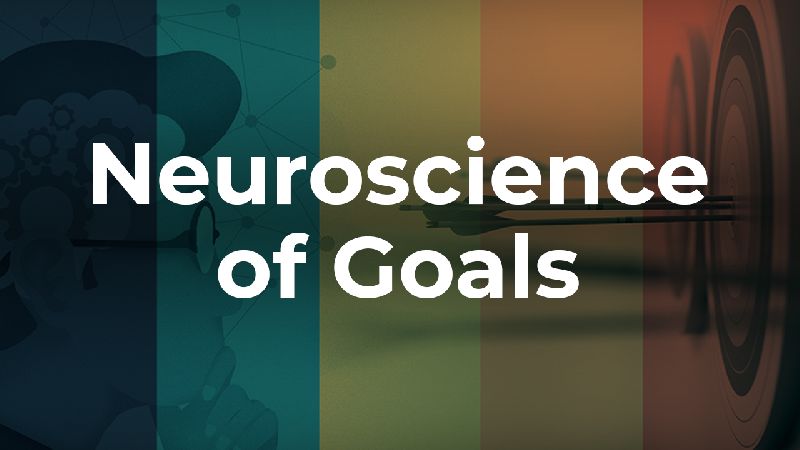 Neuroscience Of Goals at Best Price in Gurugram - ID: 5671423 | xmonks