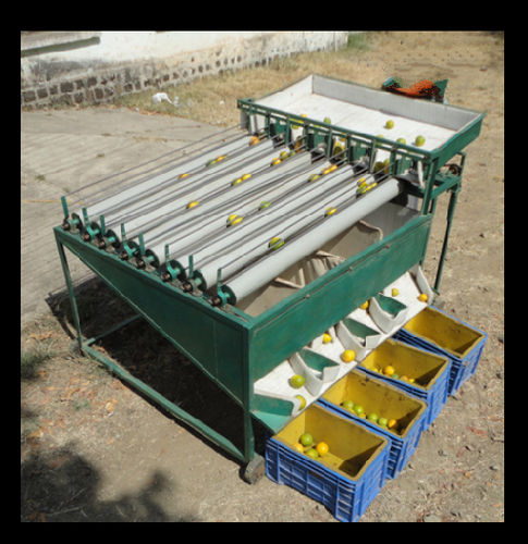 Fruit Grading Machine at Best Price in Akola | Maa Durga Plastic Products