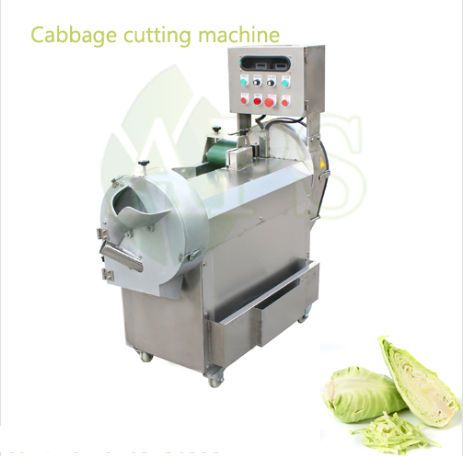SS304 Cabbage Cutting Machine, Certification : ISO at Best Price in ...