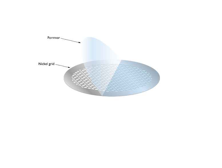 Formvar Films on Gold TEM Grids _ AGS138A Formvar Films on Nickel TEM ...