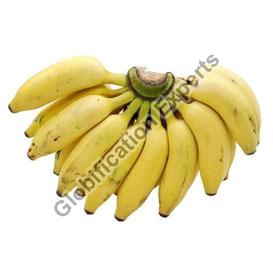 Velchi Banana, Certification : FSSAI Certified by Globification Experts ...