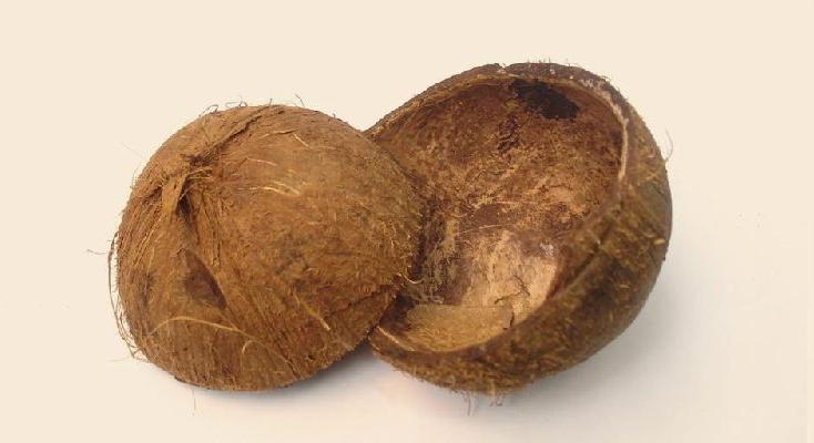 round Common coconut shell chips,, for Making Blocks, Feature : Best ...