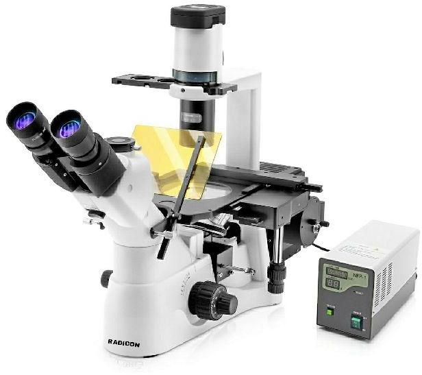 Supplier of Microscope from Surat, Gujarat by Radicon Scientific Instruments Co