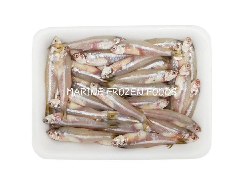 Exporter of Seafood from Mueang Samut Sakhon, Thailand by Marine Frozen ...