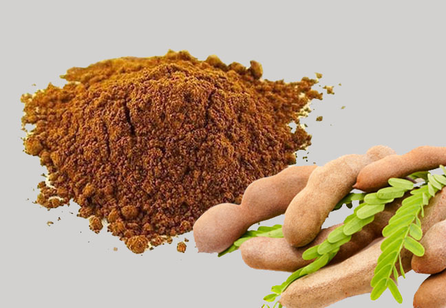 Tamarind Powder, Packaging Size : 1kg, 500gm by Wille Exports from ...