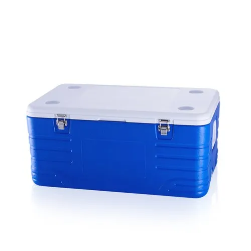 Plastic Commercial Ice Boxs, Color : Blue at Rs 2,250 / Piece in Delhi ...