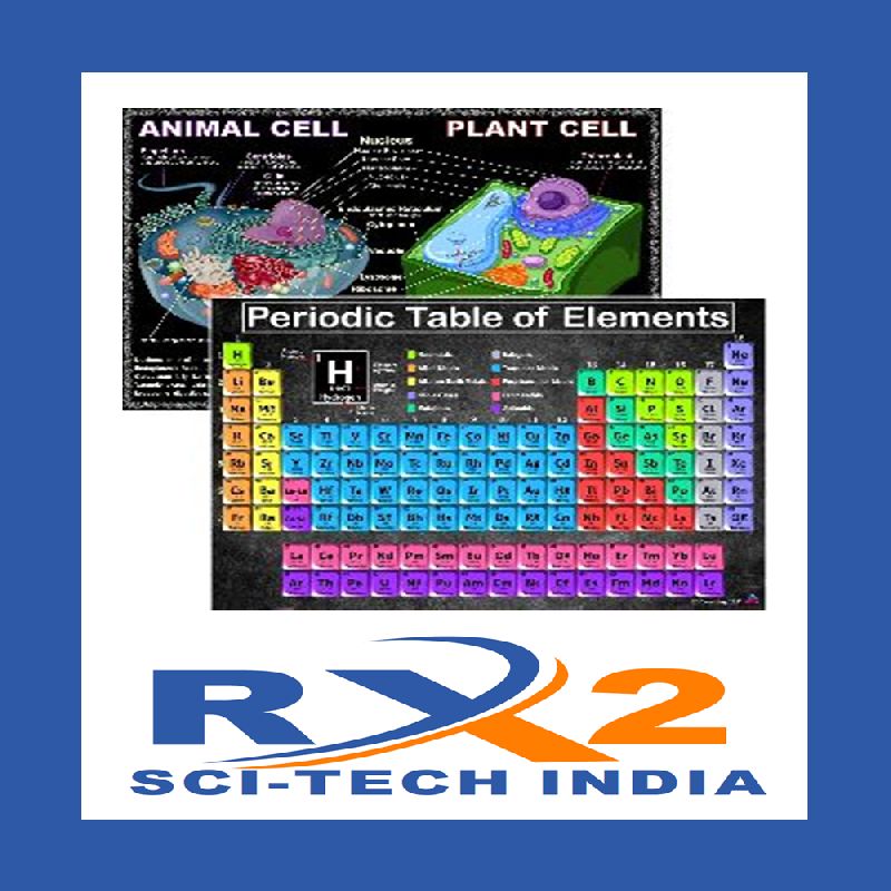 Kraft Paper Science Educational Charts, for Kids Knowledge, Feature ...