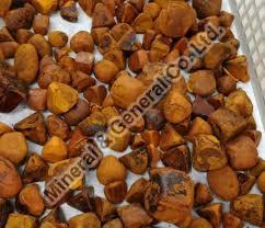 Cow Gall Stones / Ox Gallstones, Type : Designer Horn Jewelry at best ...