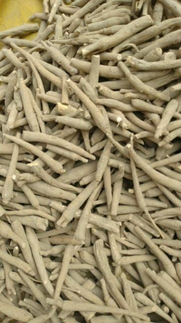 Dry Roots, For Medical Use, Packaging Type : 50Kg at Rs 300 in ...