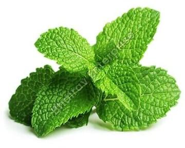 100% Natural Menthol, Packaging Size : 10-20kg at best price INR 1 ...