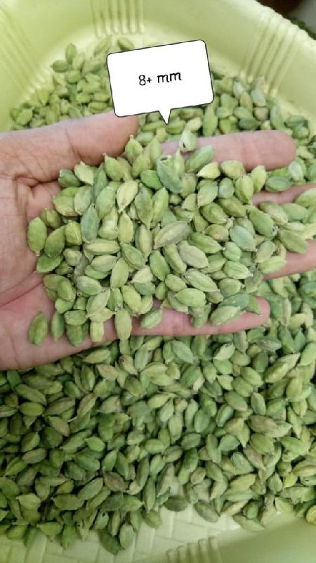 AEN PLANTATION in Idukki - Manufacturer of +8MM CARDAMOM (EXPORT ...