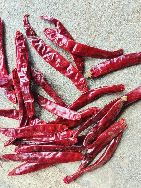 Dark Wonder Hot Dried Red Chilli Without Stem by Nandhini Chillies ...