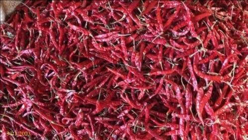 Bright Red Chilli - Inter Oil & Gas Trades Pvt. Ltd., Kolkata, West Bengal
