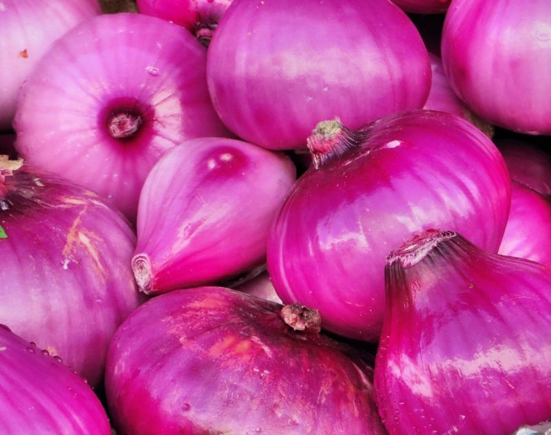Natural Pink Onion, for Human Consumption, Packaging Size : 20 Kg at Rs ...