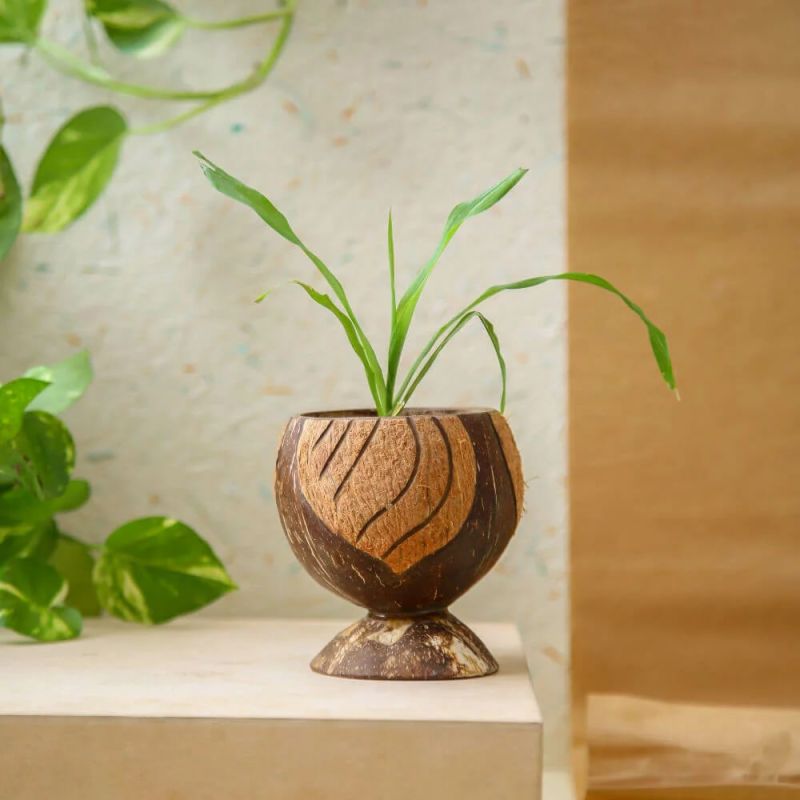 Brown Round Polished Coconut Shell Flower Pot, Style : Modern, Size ...