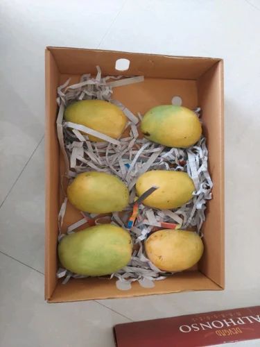 12 Piece Mango Box, Packaging Size : 5 Kg at Rs 25 / Piece in Rajkot ...