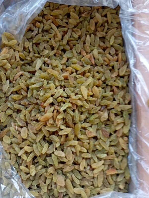 Spiffy Green Raisin, Packaging Type : Corrogated Box, Packaging Size ...