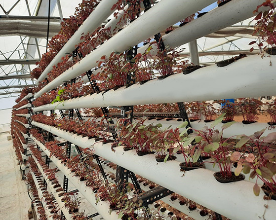 Round Customized Pvc Pipes, For Industrial, Feature : High Strength ...