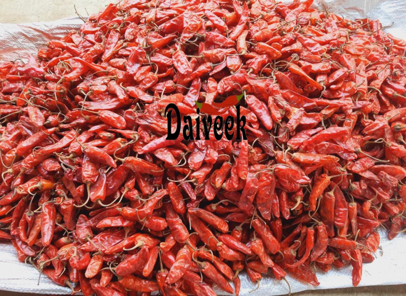 Manufacturer of Chilli from Guwahati, Assam by Yogita Agro Food ...