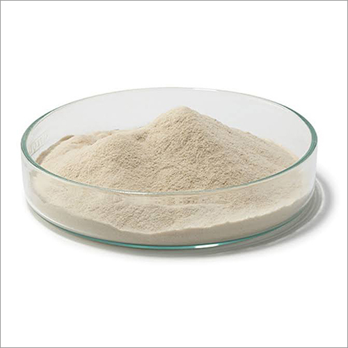 Agar Agar Powder, Feature : High In Protein, Packaging Type : BOPP Bags ...