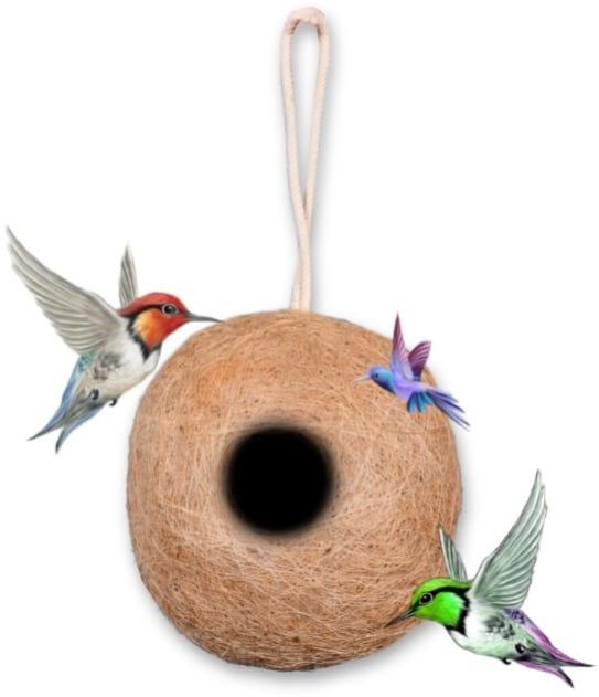 Boxer standby house nest Round bird nest Manufacturer from Namakkal ...