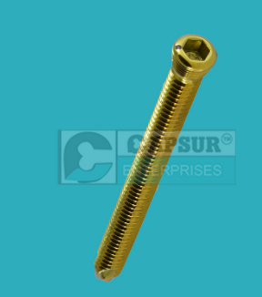 Capsur Titanium Locking Compression Screw at Best Price in Delhi ...