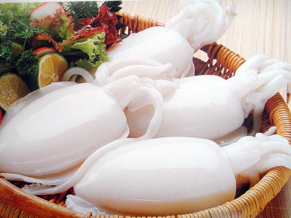 Silver Frozen Cuttle Fish, for Human Consumption, Making Oil at Best ...