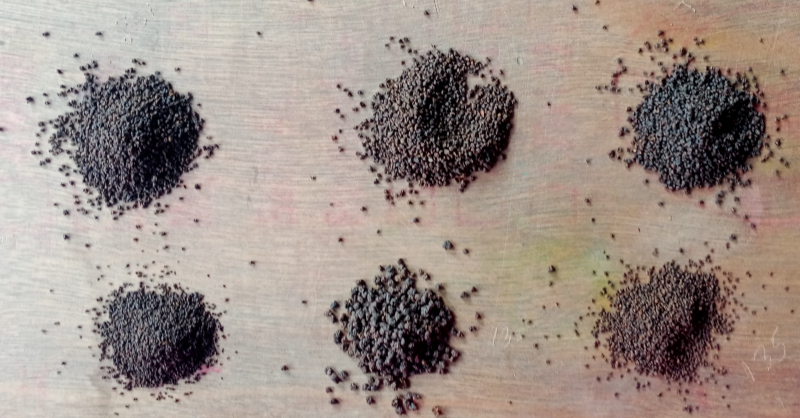 Black Organic CTC BOP Tea at Rs 375 / Kilogram in Madhubani | Rishav ...