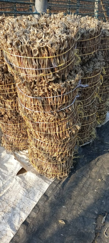 Creamy Dry Fish, For Cooking, Food, Business Purpose, Packaging Type ...