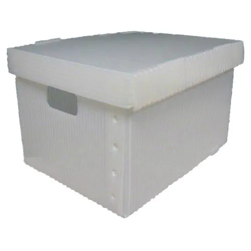 White Polypropylene Box, Pattern : Plain, Shape : Rectangle at Rs 500 ...