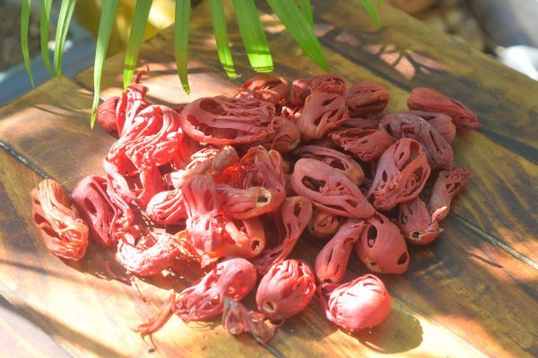 Red Mace, Form : Whole at Rs 2200 in Delhi - ID: 6955520 | Mudman ...