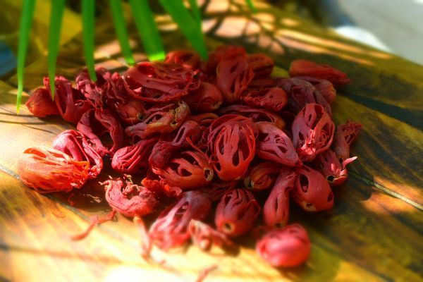 Red Mace, Form : Whole at Rs 2200 in Delhi - ID: 6955520 | Mudman ...