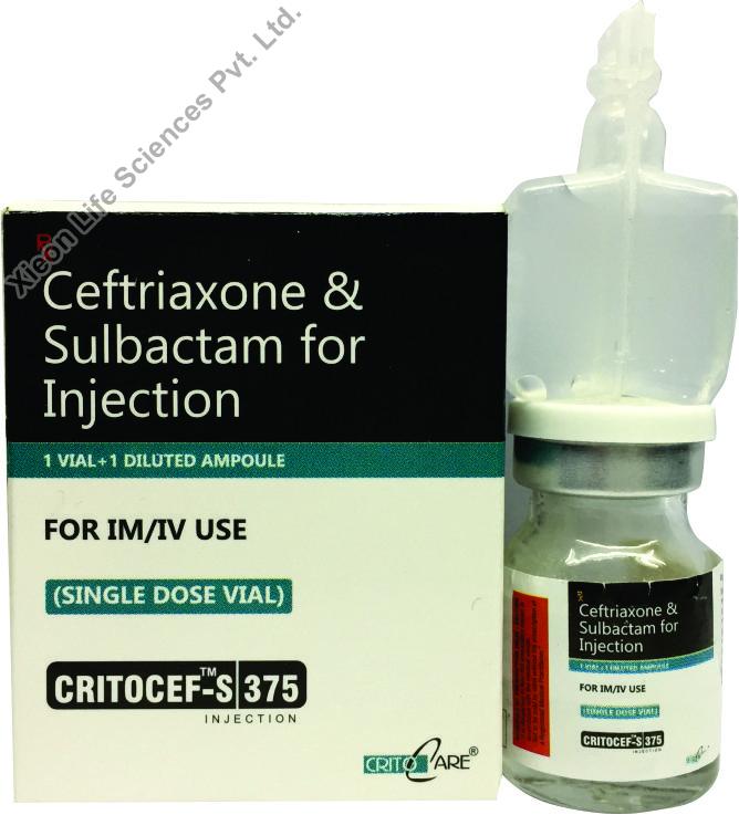 Critocef-S 375 Injection, Packaging Type : Glass Bottles at Best Price ...