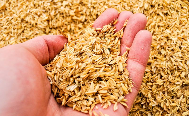 Rice Husk, Packaging Type : Jute Bags, Loose Packing, Plastic Sack Bags ...