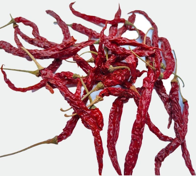 Syngenta 5531 Dry Red Chilli For Cooking at Best Price in Hyderabad ...