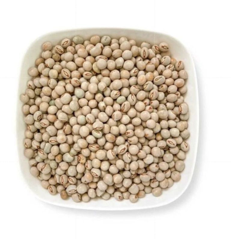 Natural Whole Toor For Cooking at Best Price in Bharuch - ID: 7651142 ...