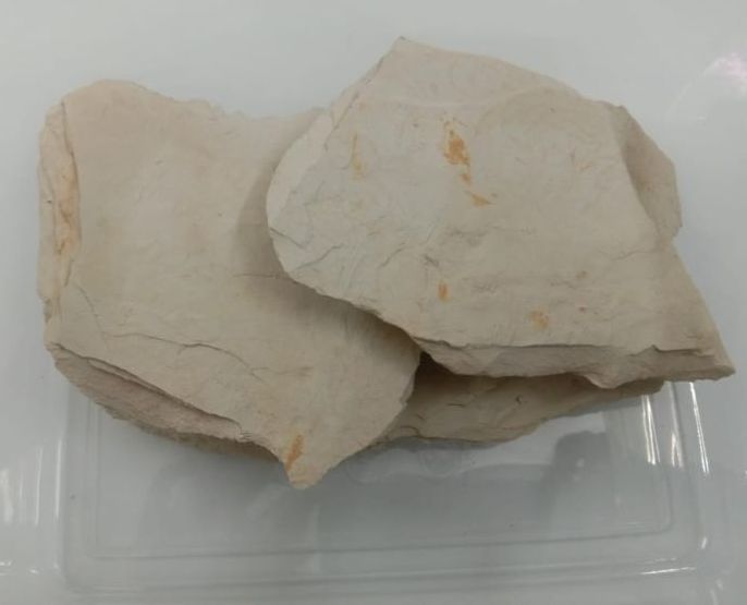 White Multani Mitti Lumps, Packaging Size : 50 Kg at Rs 10 in Ahmedabad ...