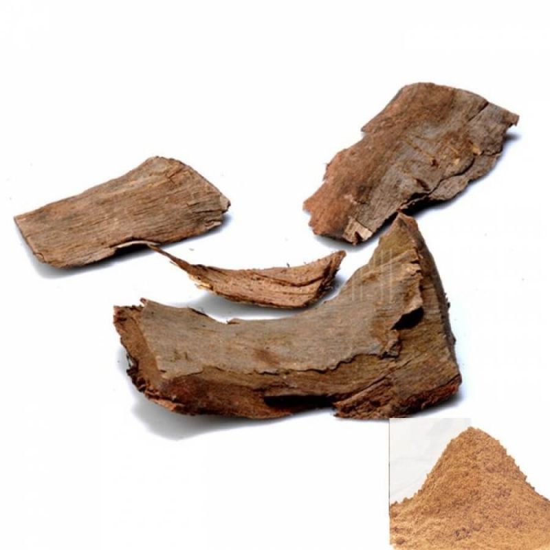 Arasam Pattai / Sacred Fig Bark Powder at Best Price in Coimbatore - ID ...