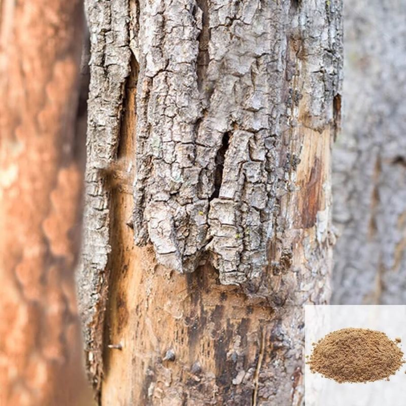 Mango Bark Powder at Best Price in Coimbatore - ID: 7720234 | nmkonline