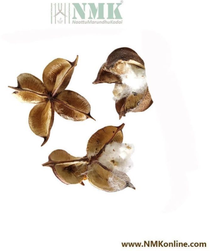 Paruthi / Common Cotton Dried (raw) at Rs 330 in Coimbatore - ID: 7720731