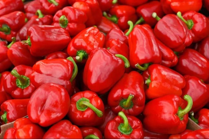 Fresh Red Capsicum 3-5days, Packaging Type : Plastic Bag, Packaging ...