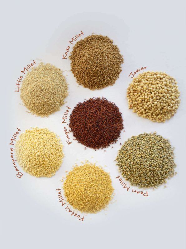 Fine Processed Organic Millet, Color : Light Green Dried For Cooking ...