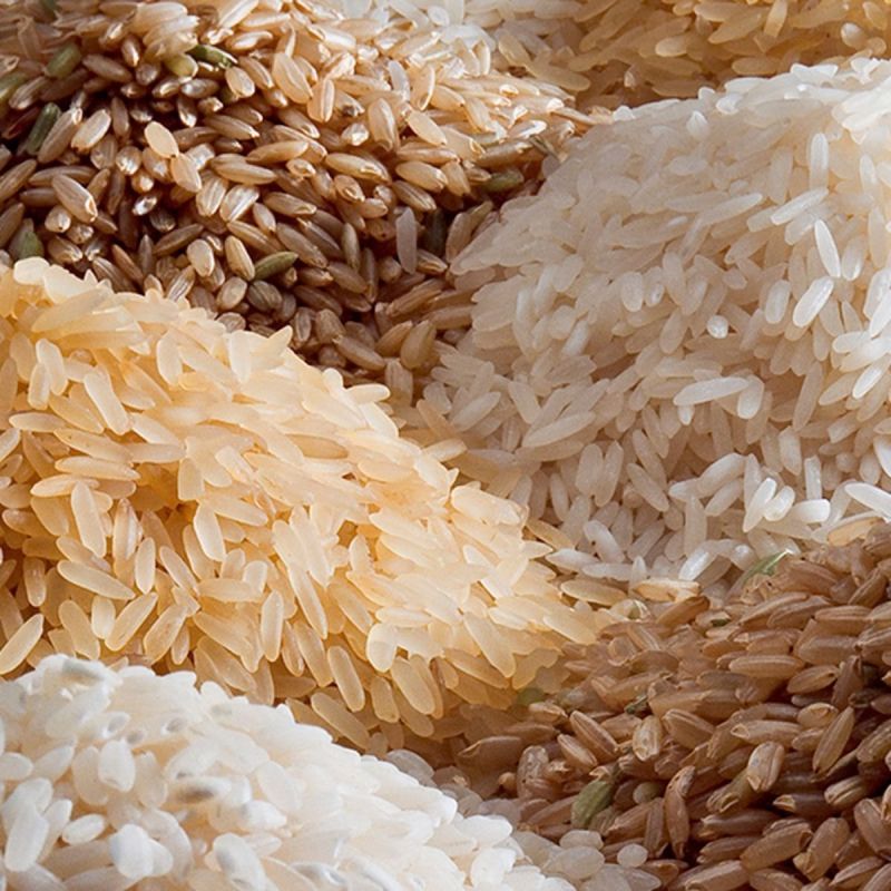 Soft Organic Rice, Form : Solid For Human Consumption, Food, Cooking at ...