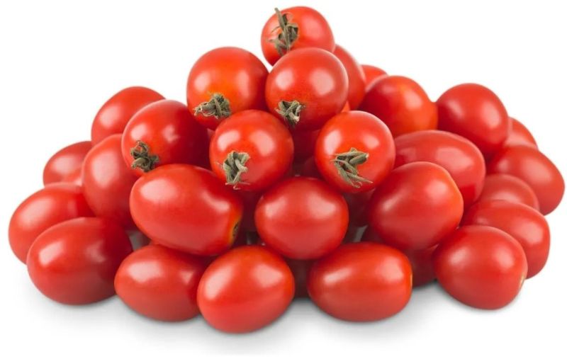 Organic Fresh Cherry Tomato, Color : Red 10-15days at Rs 140 in ...